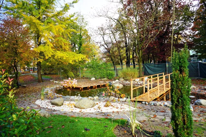 Spittaler Stadtpark: Biotop erstrahlt bald in neuem Glanz