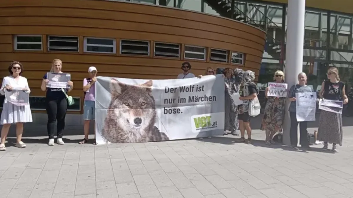 Protest vor Landesregierung: „Der Wolf ist nur im Märchen böse“