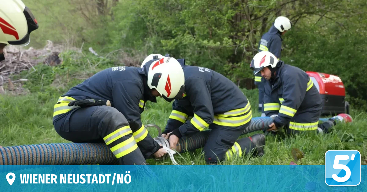 Waldbrand-Übung in NÖ: 366 Feuerwehrleute im Einsatz